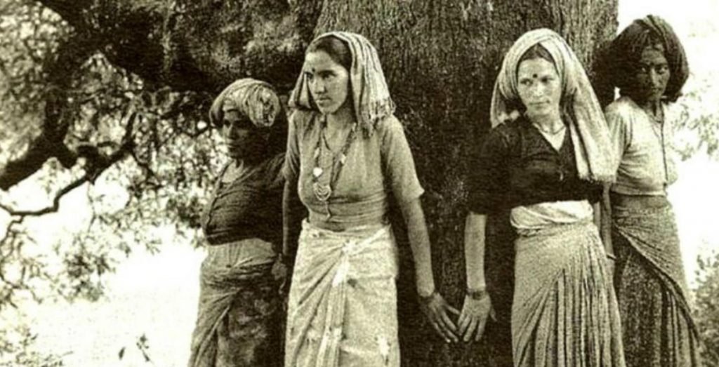 Chipko Movement - Saving the Trees - My Pen My Friend